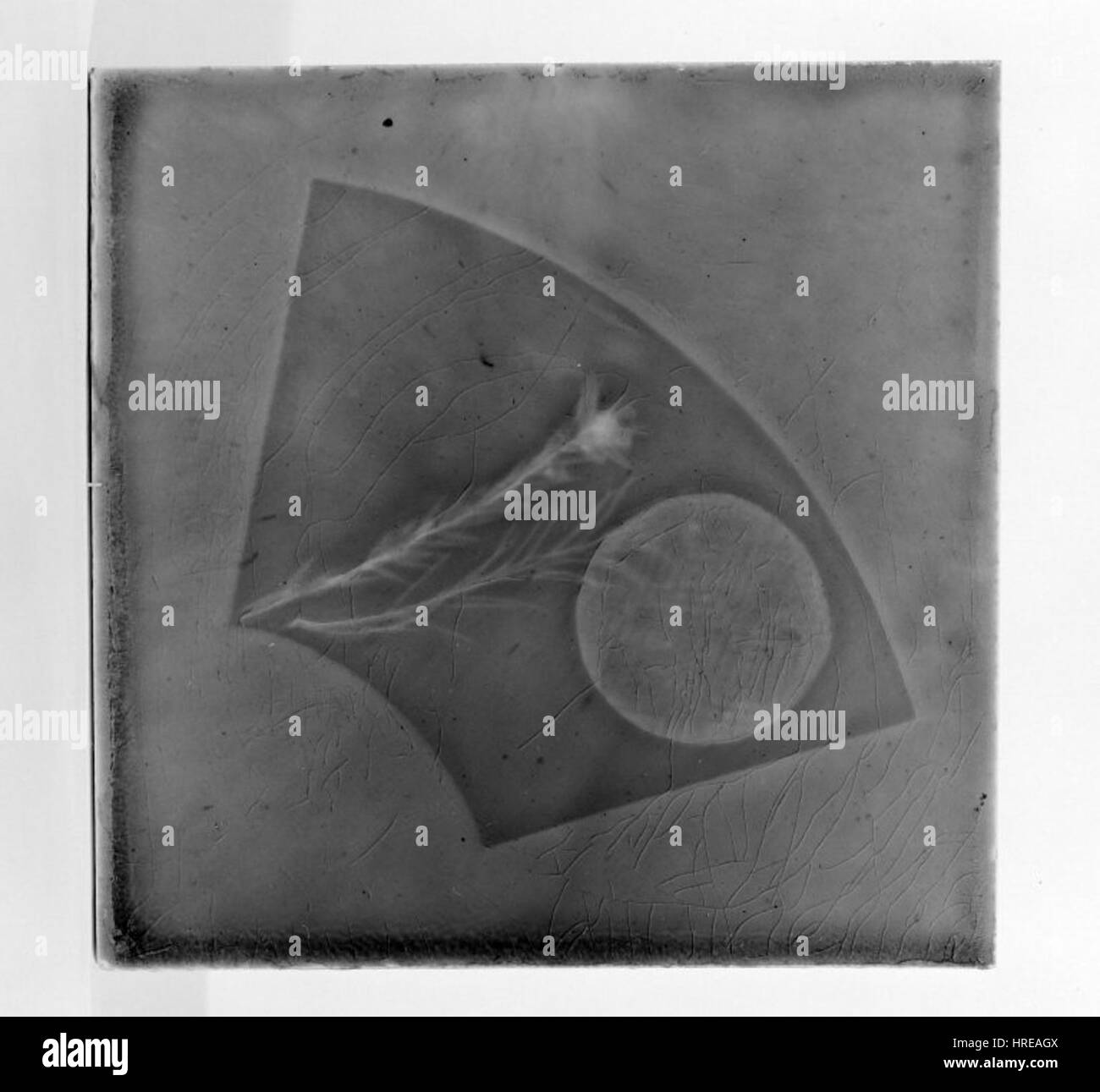 An overall pattern Black and White Stock Photos & Images - Alamy