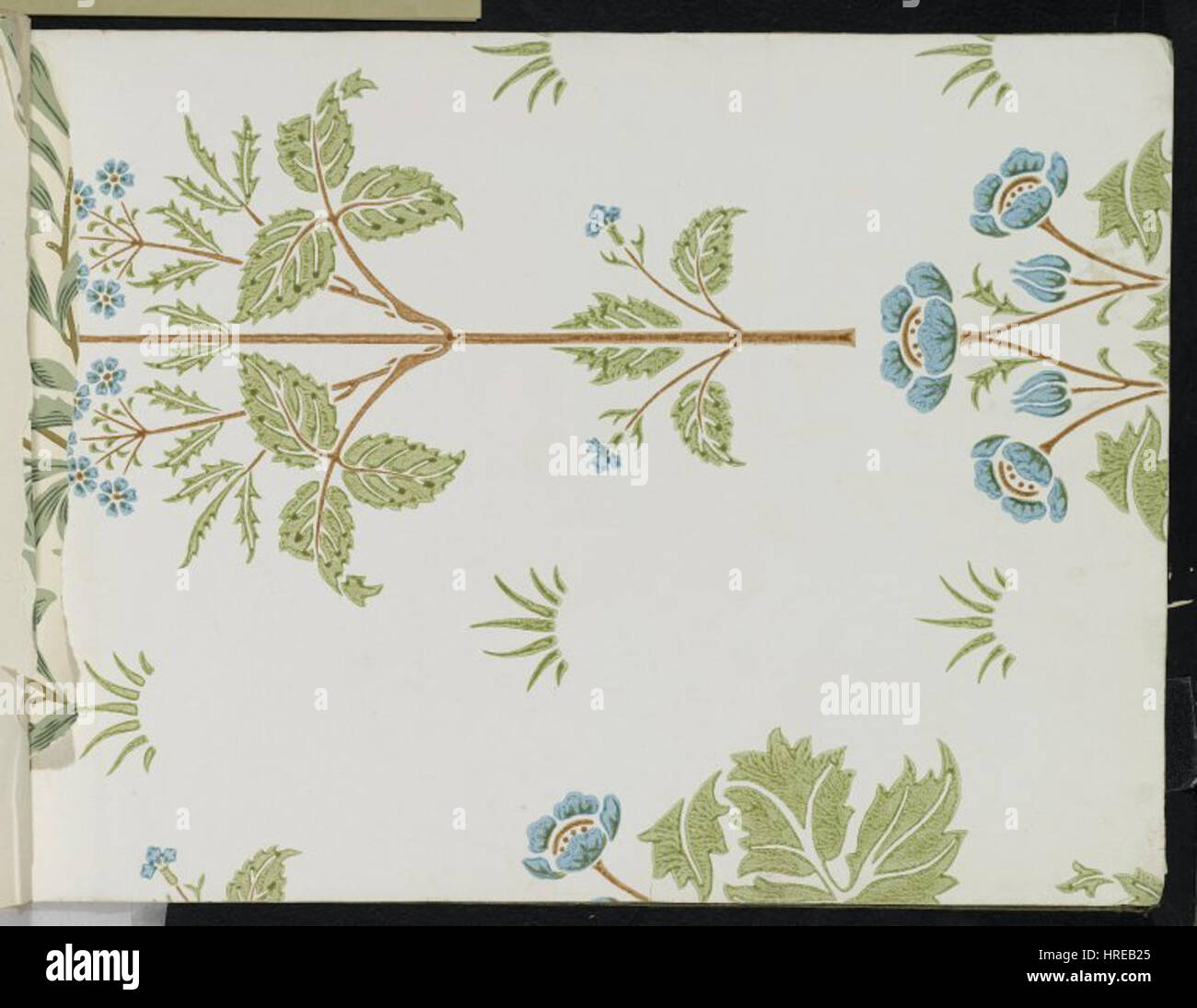 Naturalistic patterns hi-res stock photography and images - Alamy