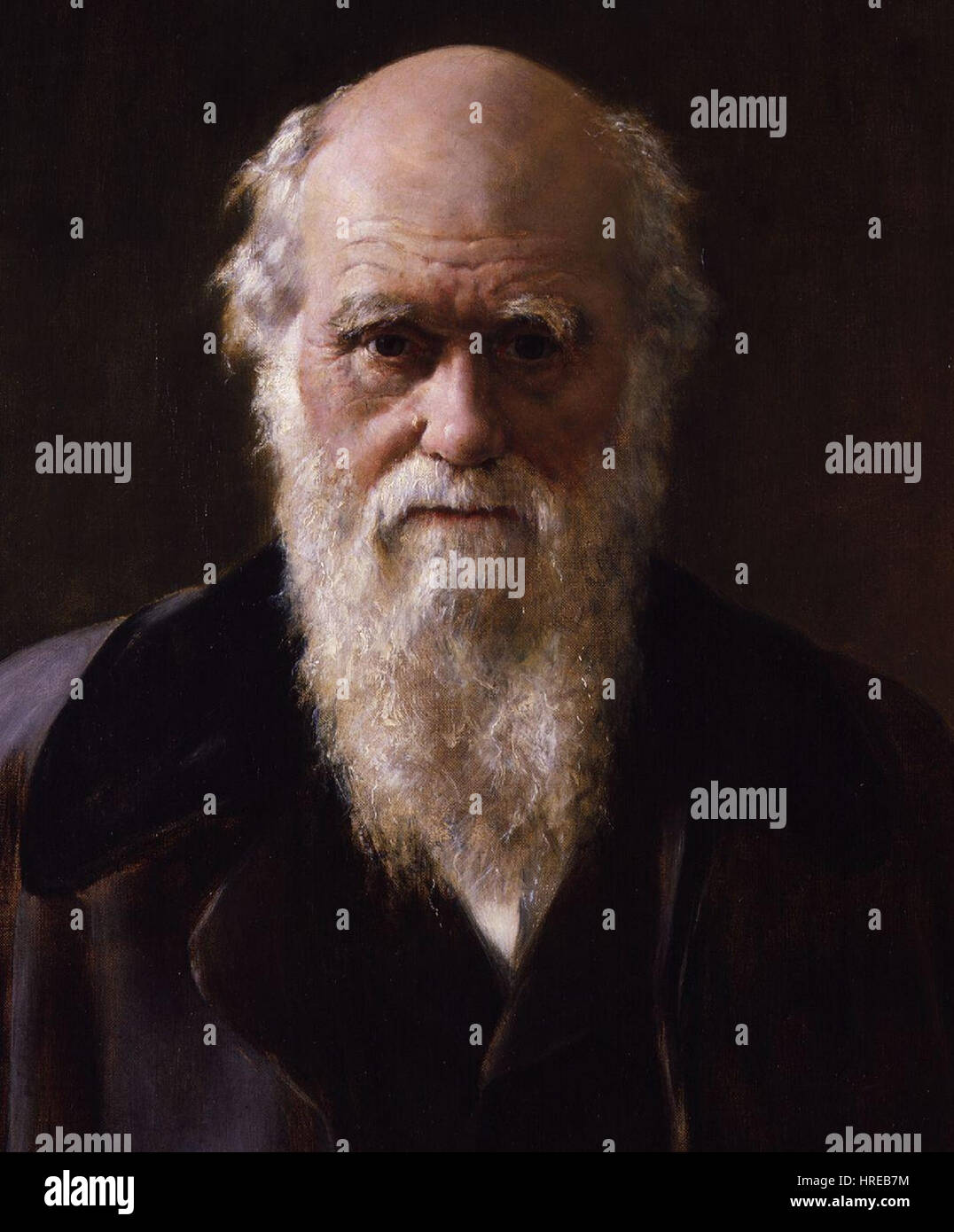 Charles Robert Darwin by John Collier cropped Stock Photo - Alamy Charles Robert Darwin by John Collier cropped Stock Photo - Alamy