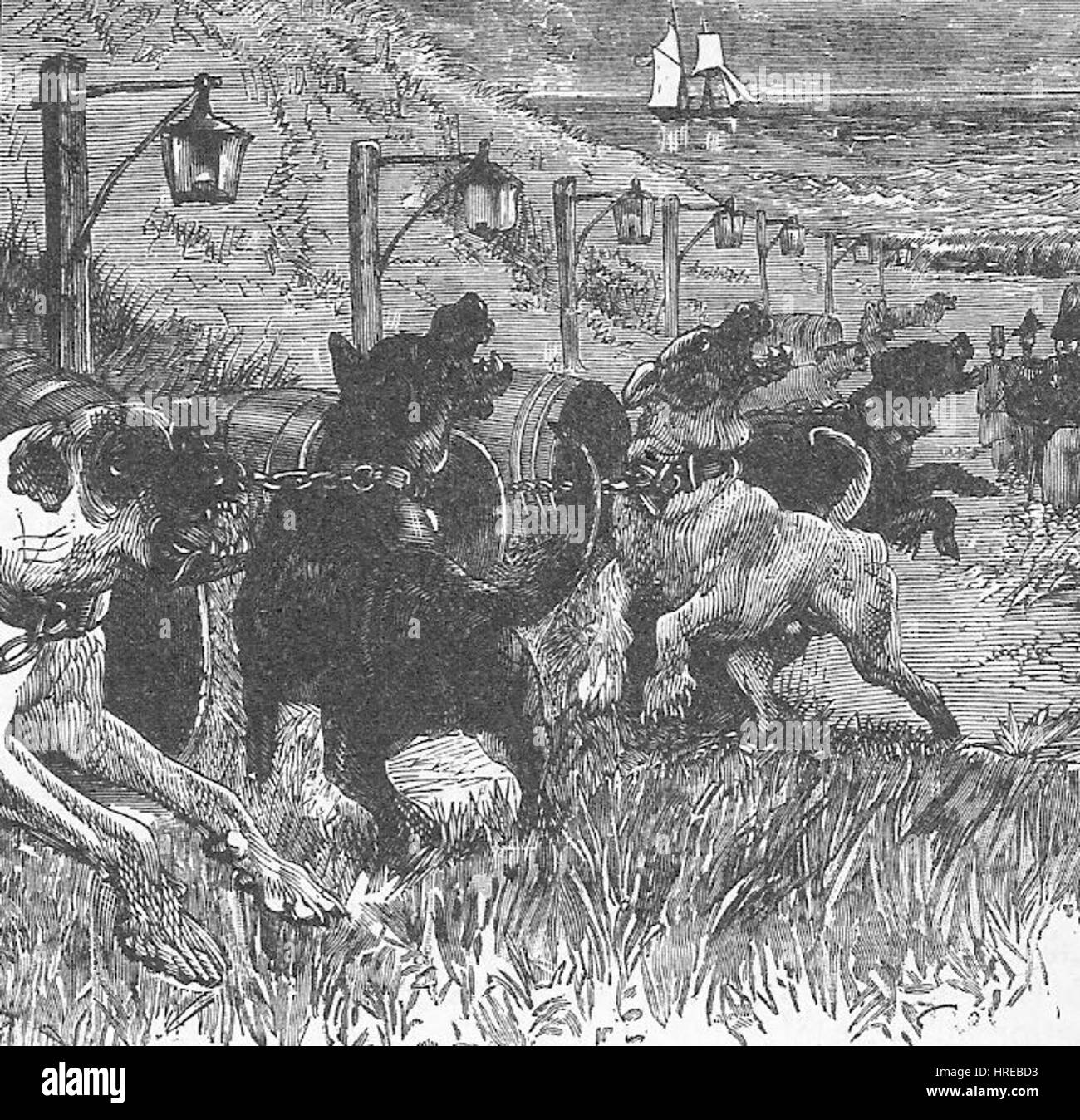 Brothers of human Black and White Stock Photos & Images - Alamy