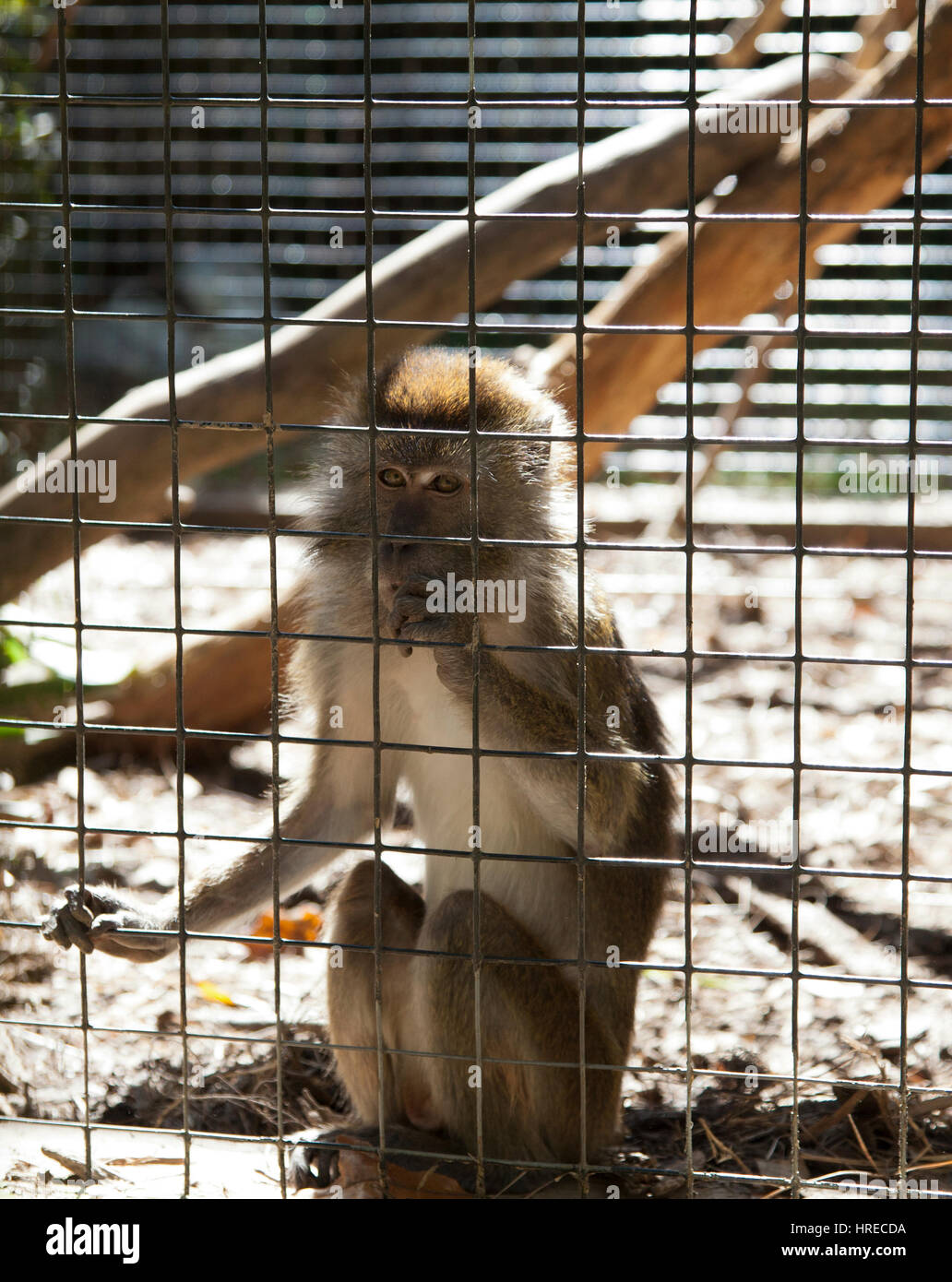 Forlornly Stock Photos & Forlornly Stock Images - Alamy