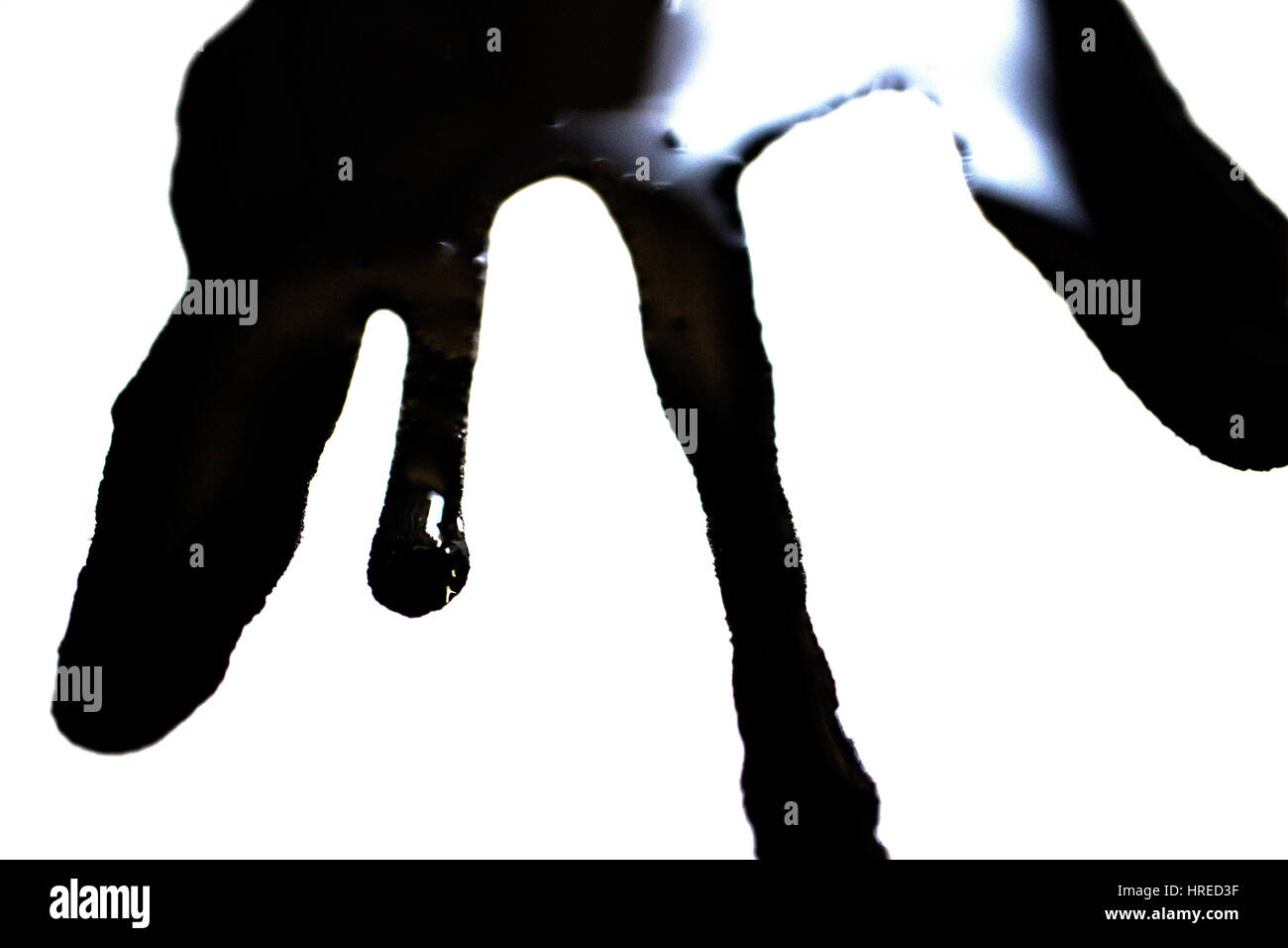 Animated video drop blood water hi-res stock photography and images - Alamy