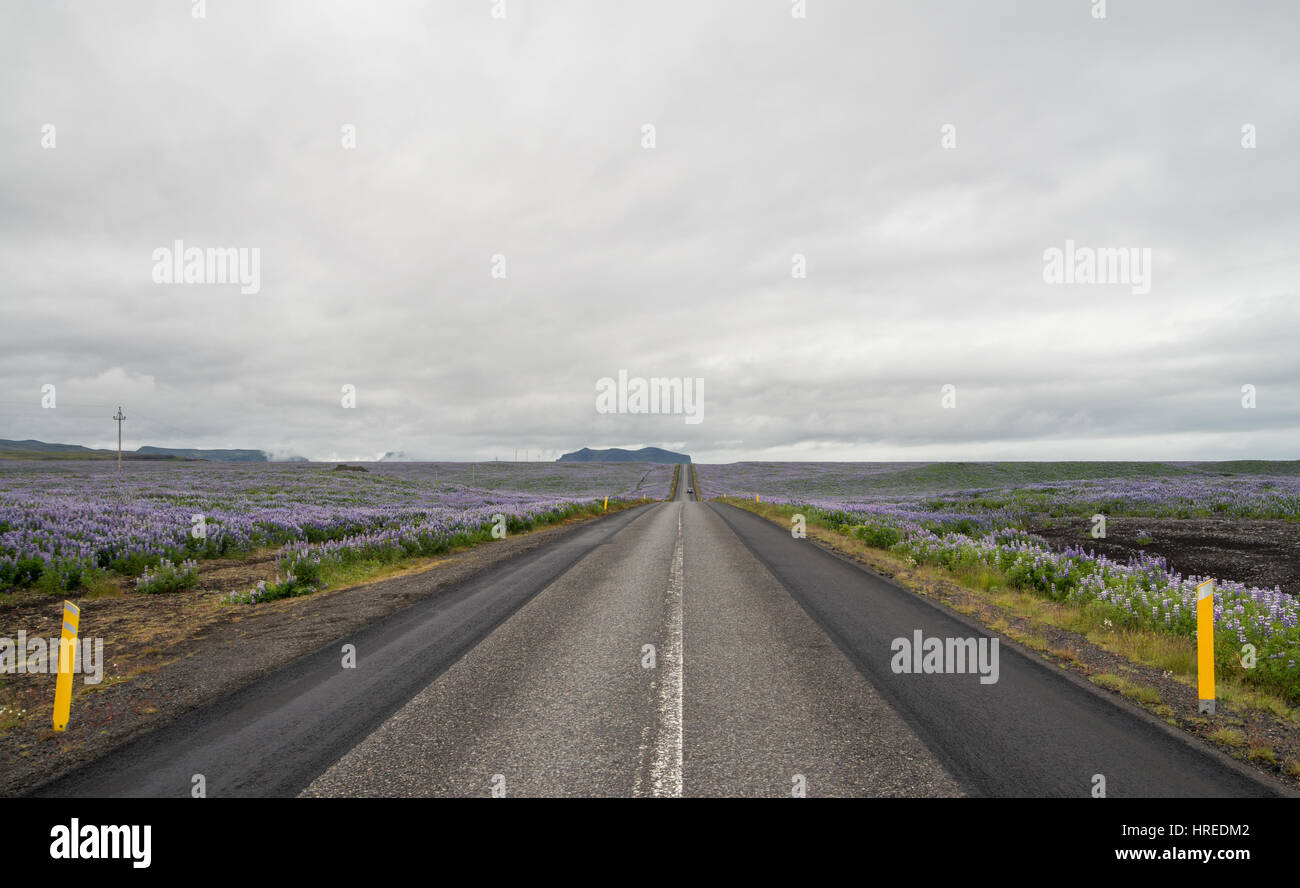 Scenic icelandic ring road Stock Photo - Alamy