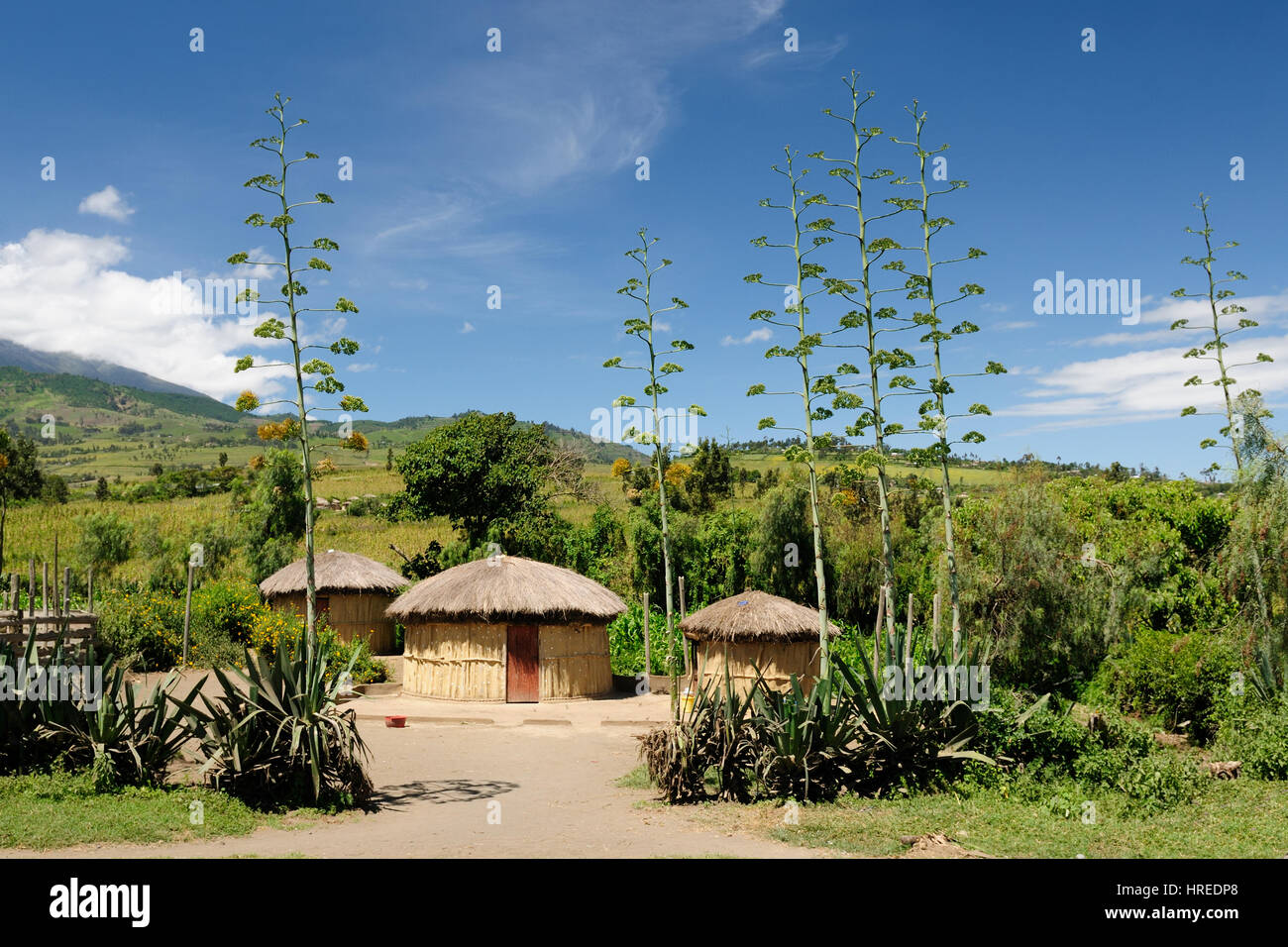 Africa mud wall hut hi-res stock photography and images - Alamy