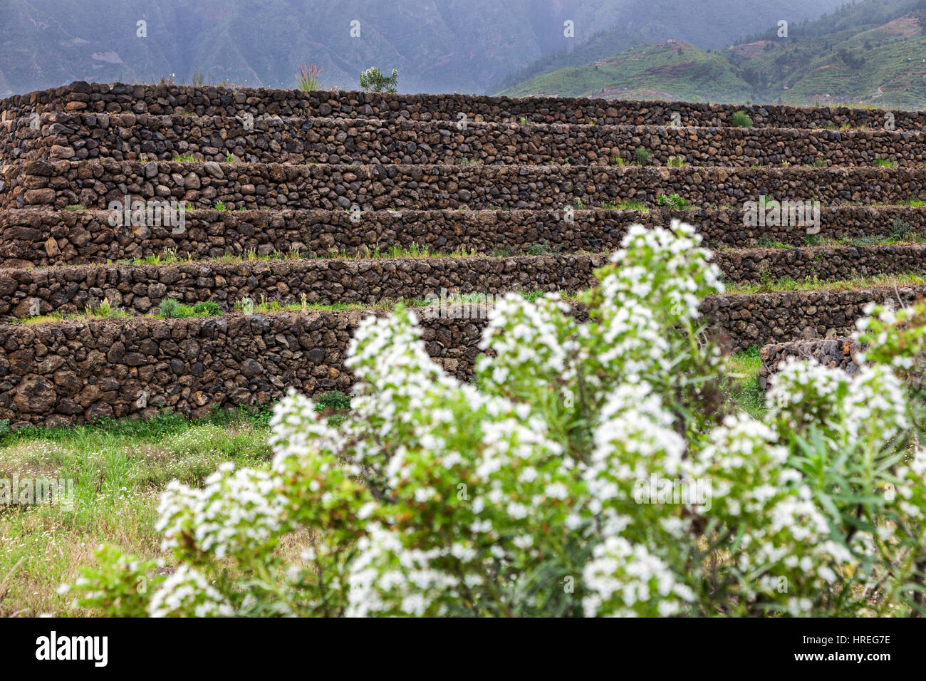 Pyramids of Guimar. Tenerife, Canary Islands, Spain Stock Photo - Alamy