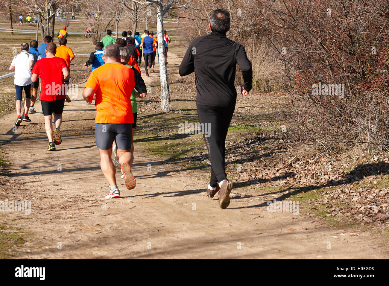 Male athletic runners on a cross country race. Outdoor circuit ...