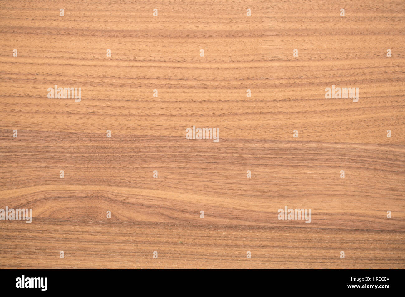 Beech wood texture hi-res stock photography and images - Alamy