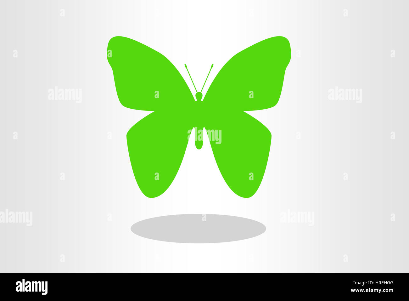 Illustration of green butterfly on plain background Stock Photo - Alamy