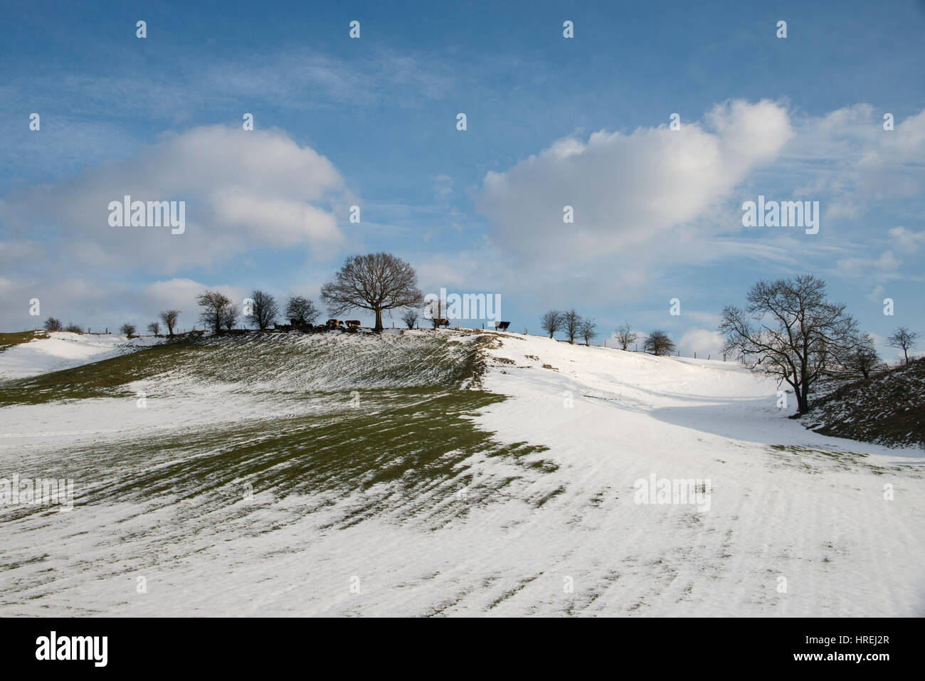 Photograph Of Snowy Rolling Hills