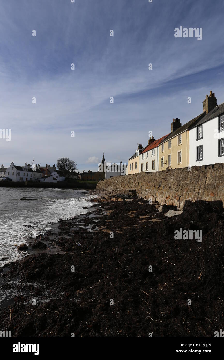 Shore covered in washed up seaweed and Anstruther waterfront Fife ...