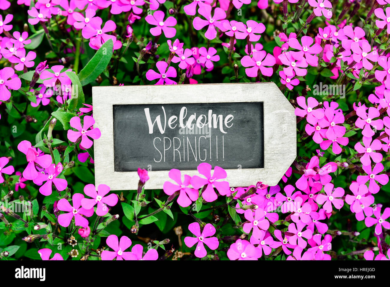 Welcome spring hi-res stock photography and images - Alamy