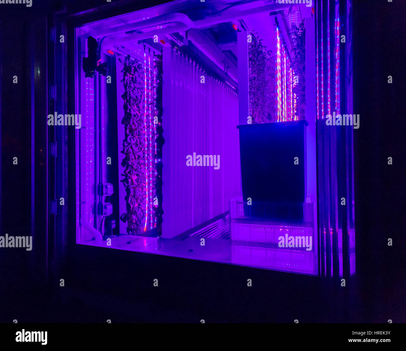 Led grow lights hi-res stock photography and images - Alamy