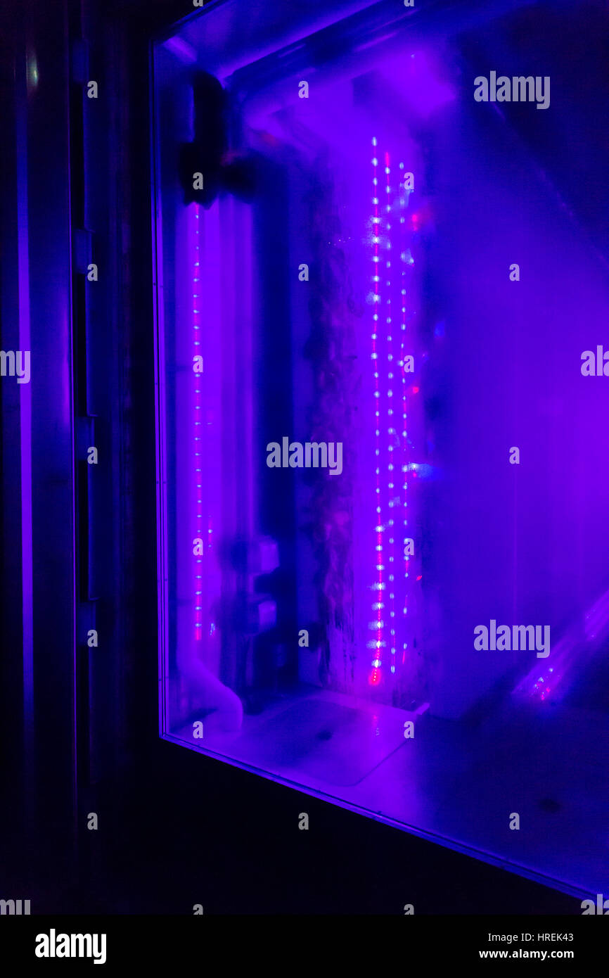 Led grow lights hi-res stock photography and images - Alamy