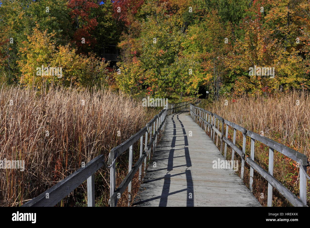 Oka park hi-res stock photography and images - Alamy