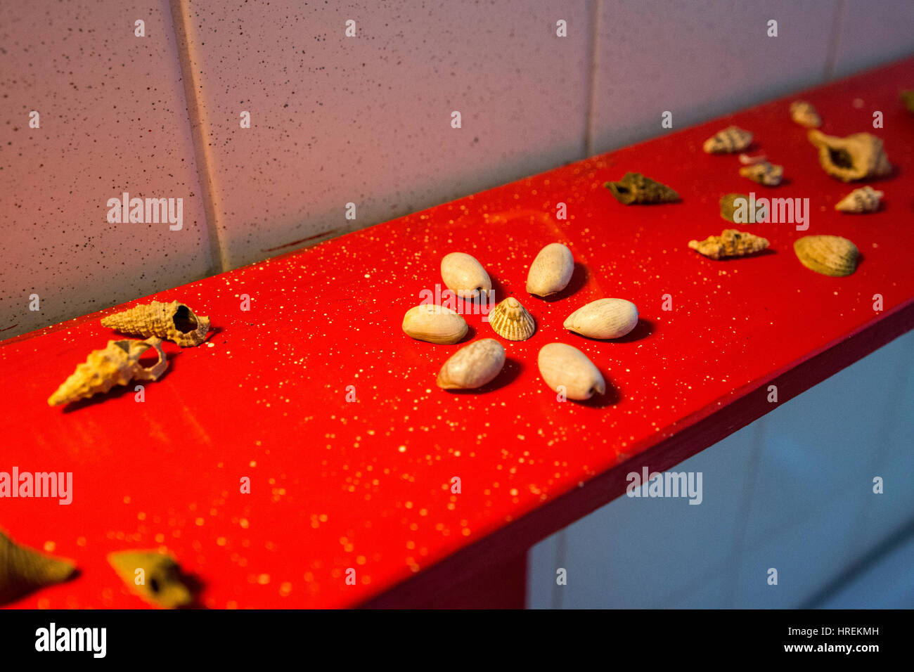 Decorative shells hi-res stock photography and images - Alamy