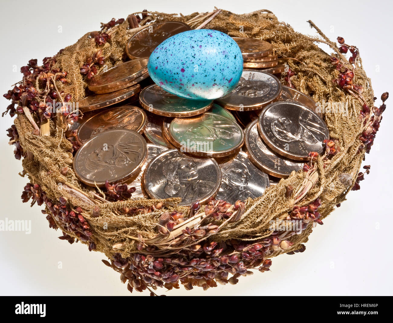 Gold dollar coins in bird's nest with eggs Stock Photo - Alamy