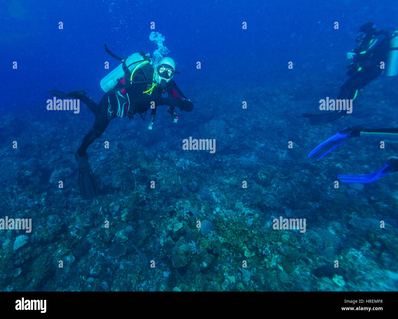 Underwater scene with scuba diver in the Caribbean sea Cuban diving ...