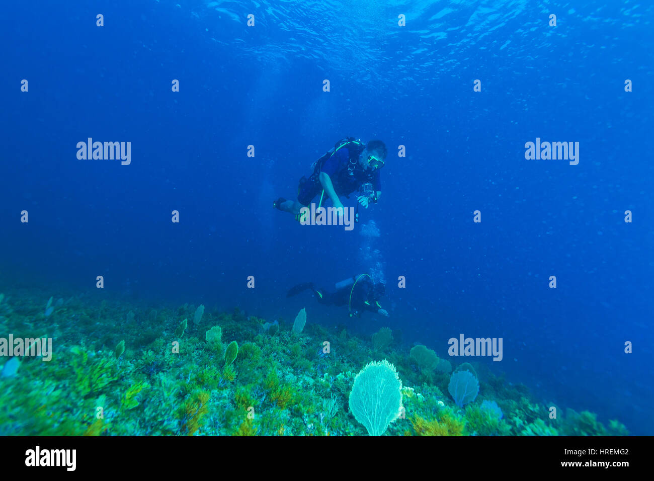 Underwater scene with two scuba divers and the beautiful surface of the ...