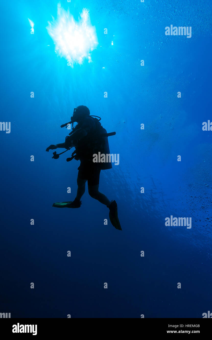Underwater scene with the silhouette of a scuba diver in the background ...