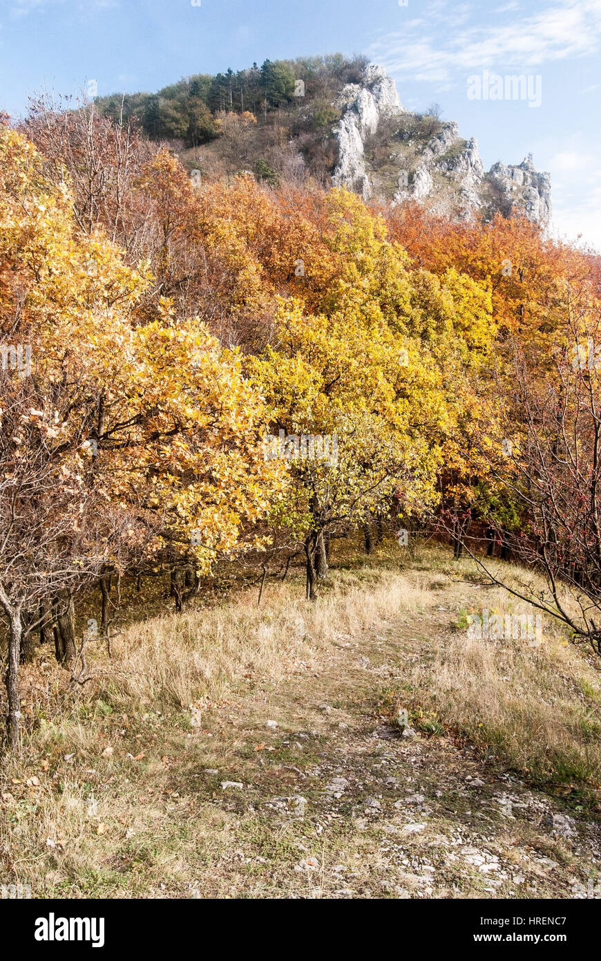 Vapenna rostun hi-res stock photography and images - Alamy