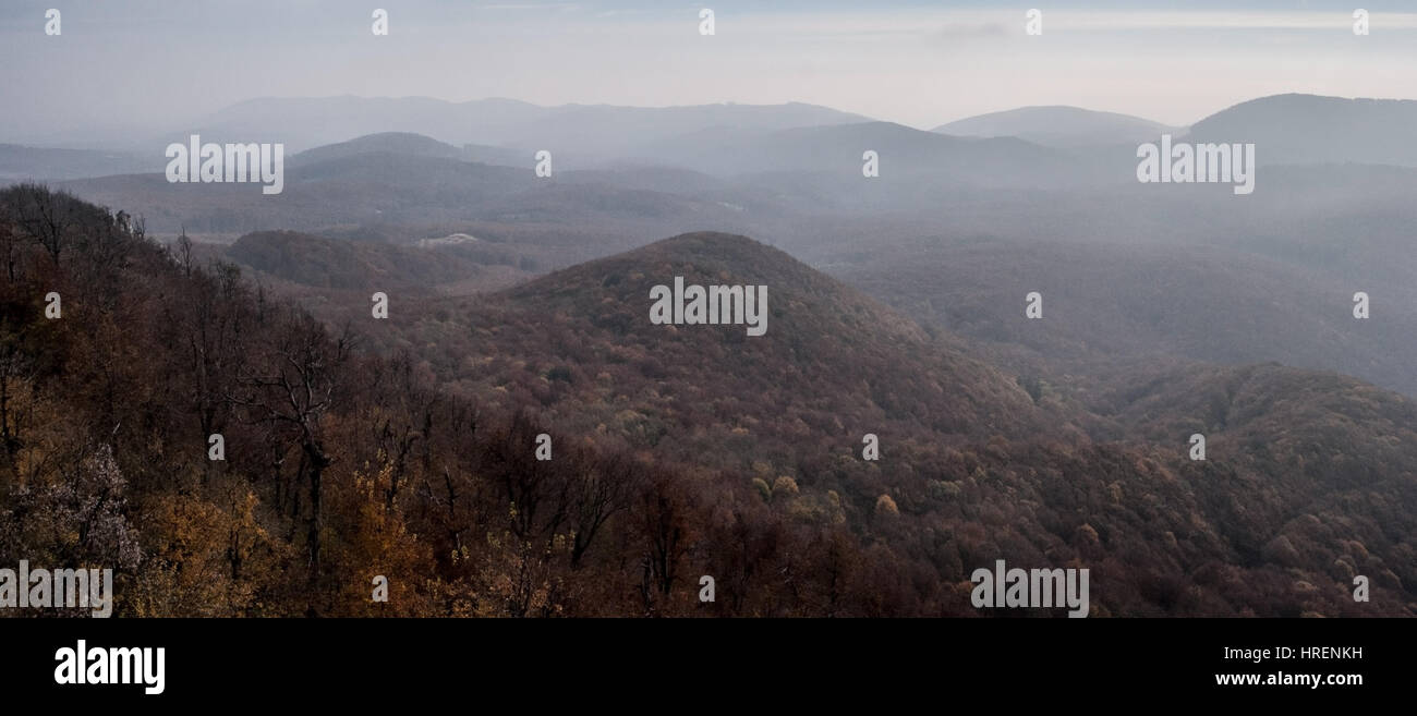 Vapenna rostun hi-res stock photography and images - Alamy