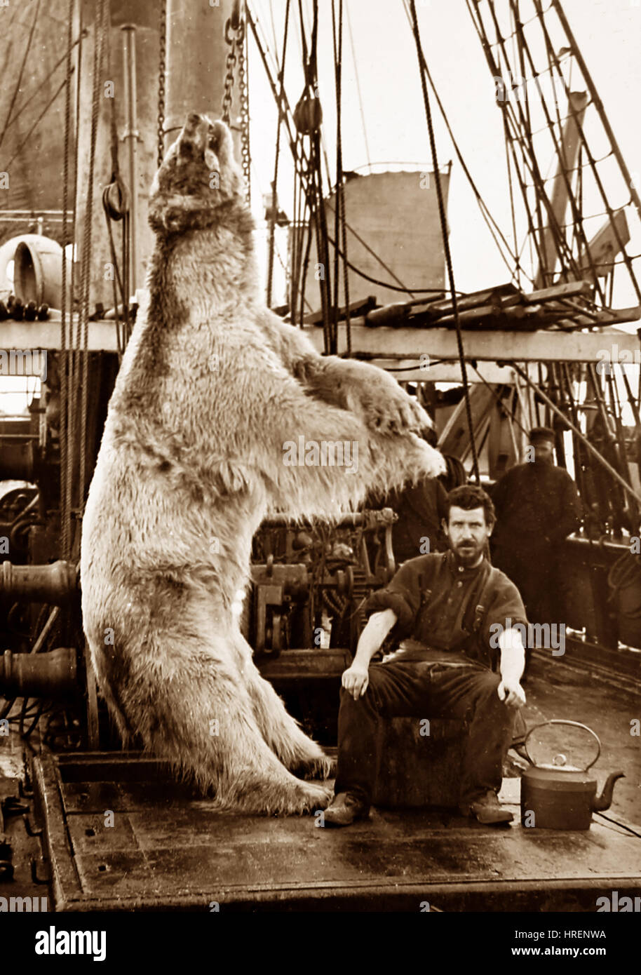 Bear in a boat hi-res stock photography and images - Alamy