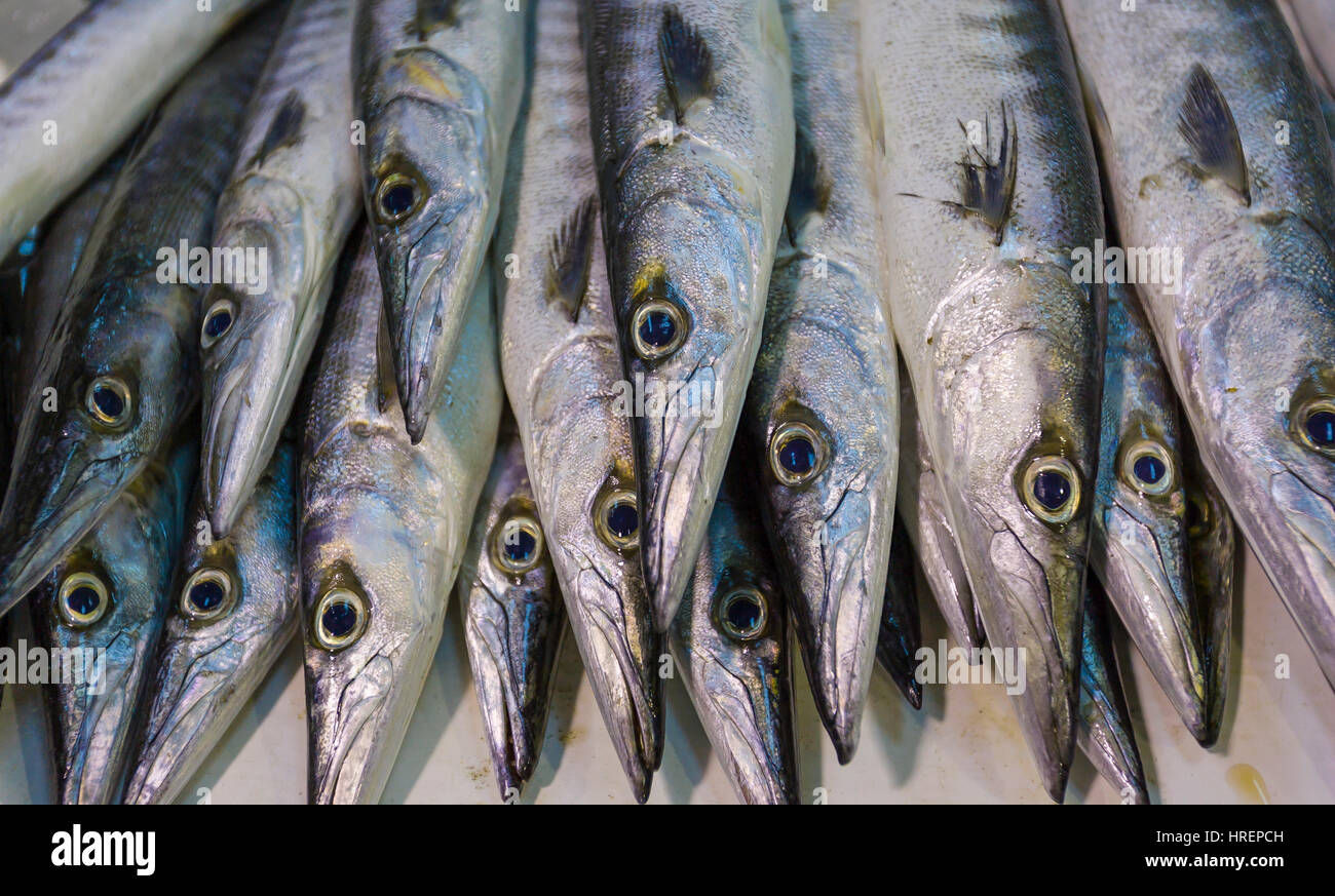 FUJAIRAH, UNITED ARAB EMIRATES - Fish Market Stock Photo - Alamy