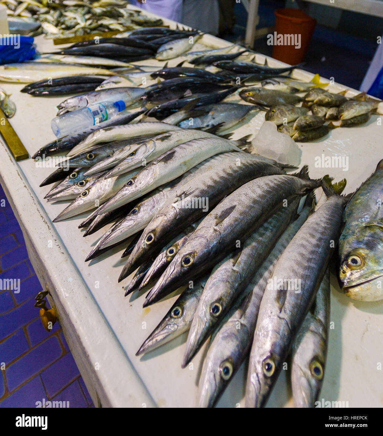FUJAIRAH, UNITED ARAB EMIRATES - Fish Market Stock Photo - Alamy