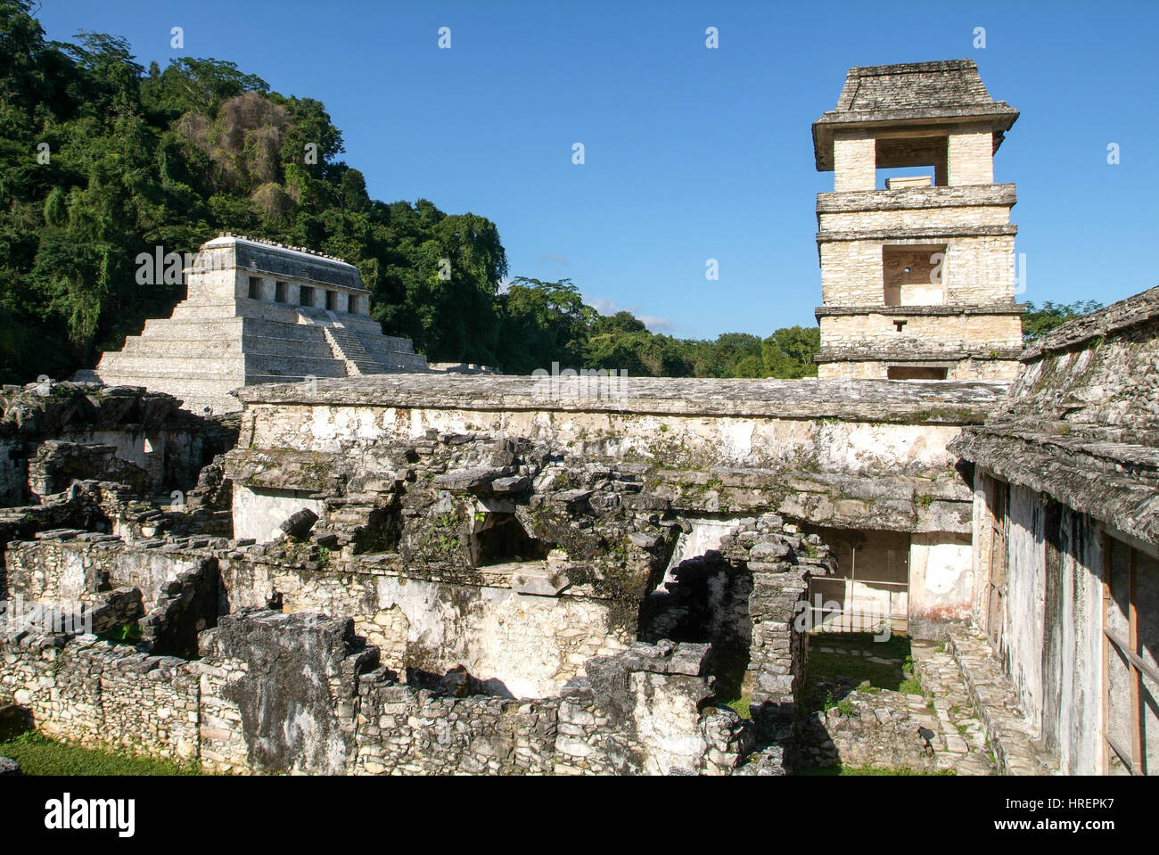 Ruins of Palenque, Maya city in Chiapas, Mexico Stock Photo - Alamy