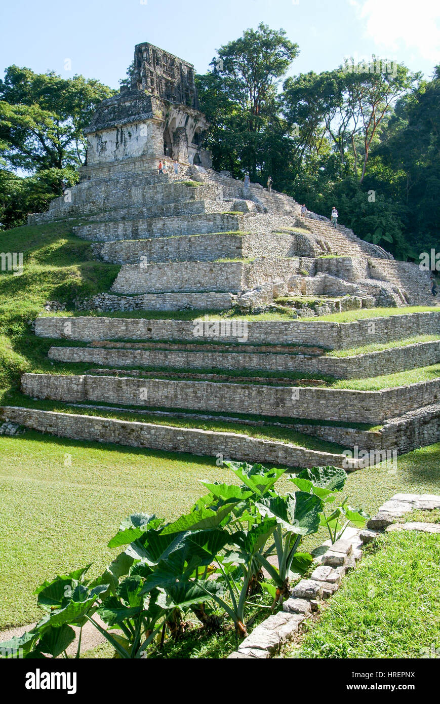 Ruins of Palenque, Maya city in Chiapas, Mexico Stock Photo - Alamy