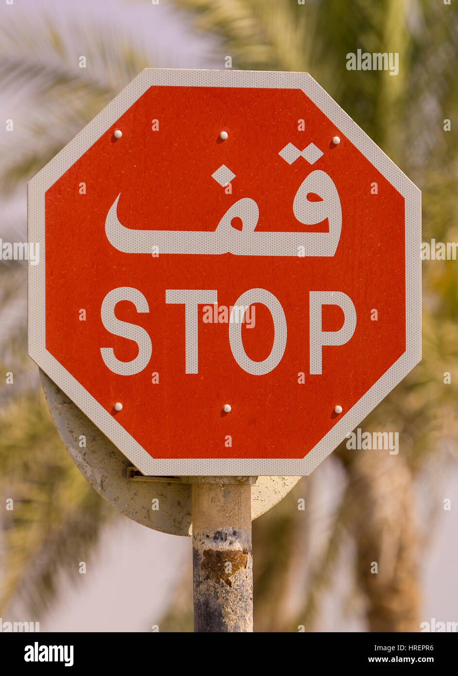 FUJAIRAH, UNITED ARAB EMIRATES - Red stop sign, bilingual Stock Photo ...