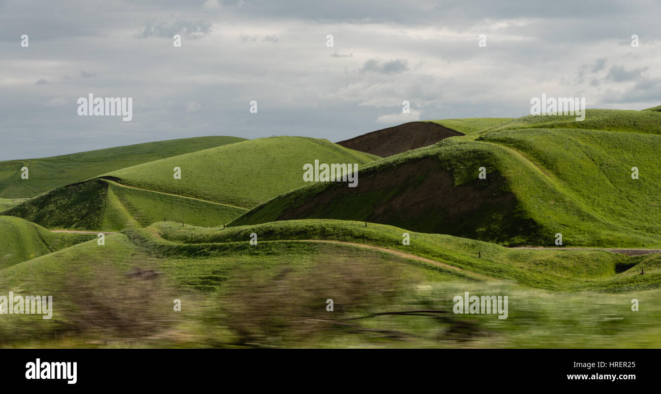 Rolling hills of Northern California Stock Photo - Alamy