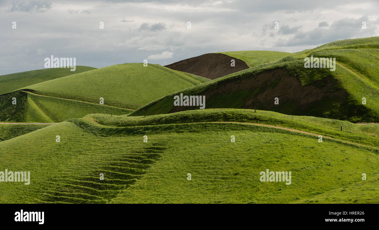 Rolling hills of Northern California Stock Photo - Alamy