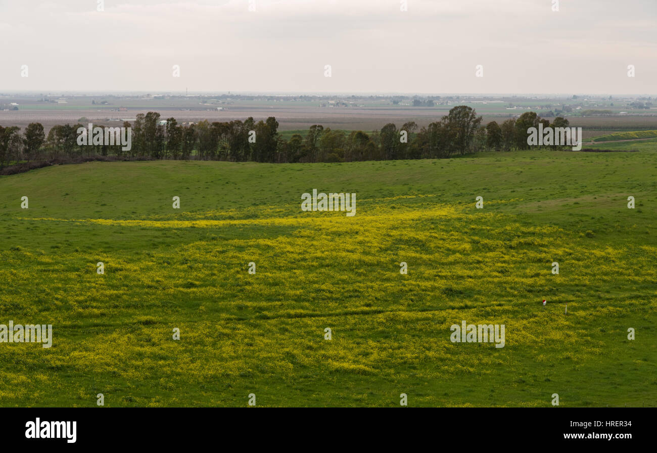 California Valley San Joaquin High Resolution Stock Photography and ...