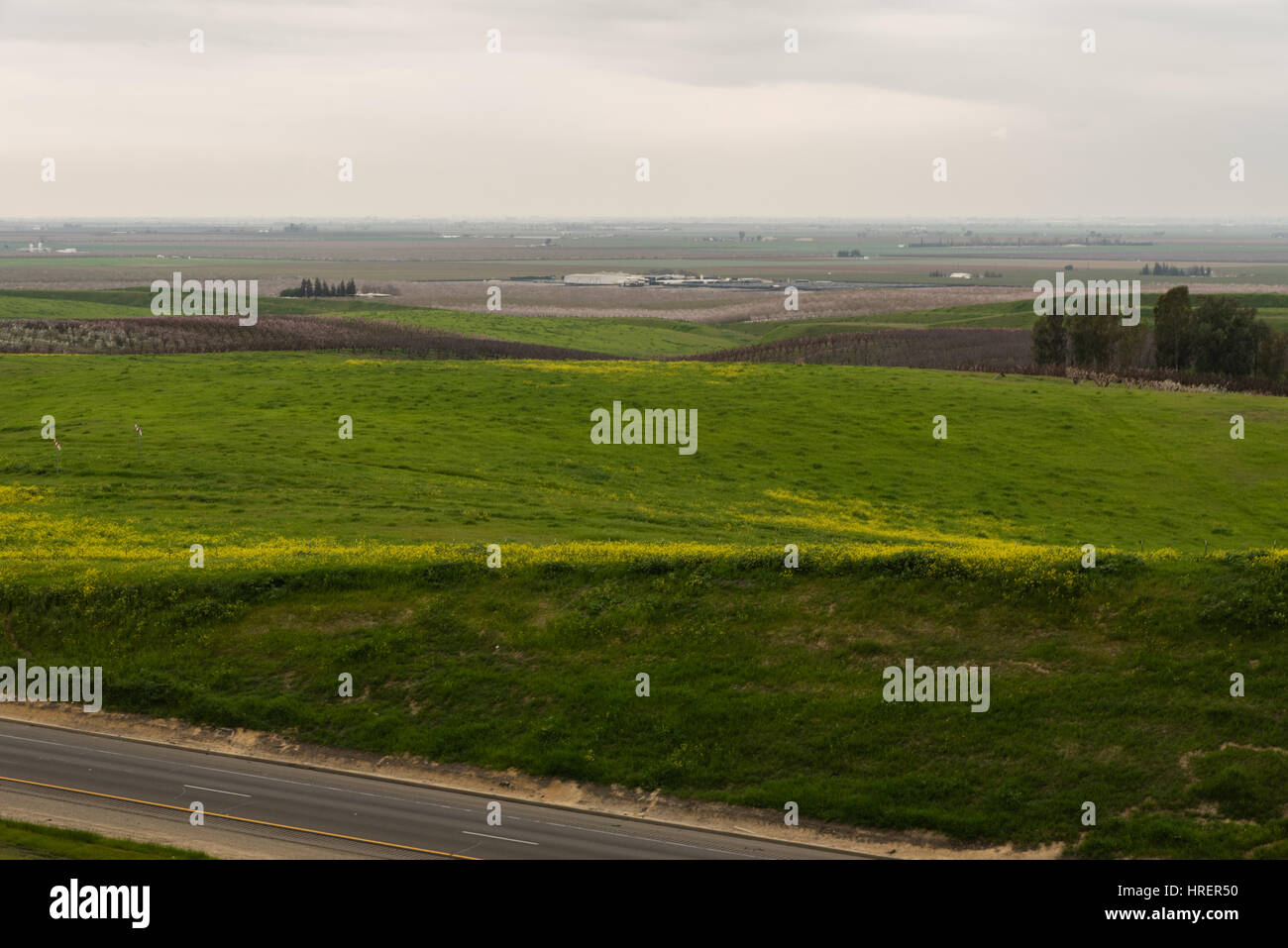 San Joaquin Valley in springtime Stock Photo - Alamy