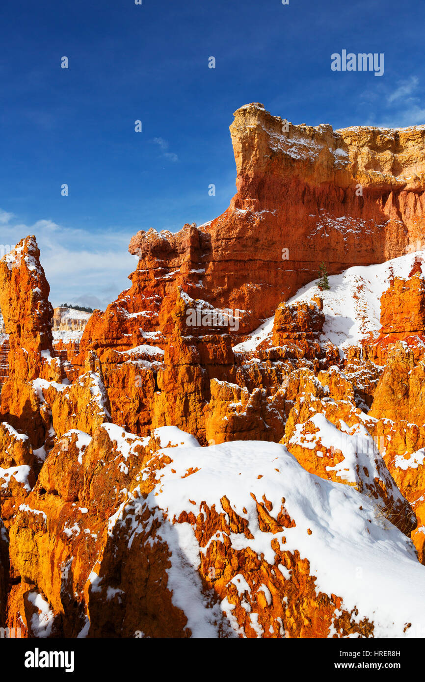 Bryce canyon rock formation hi-res stock photography and images - Alamy
