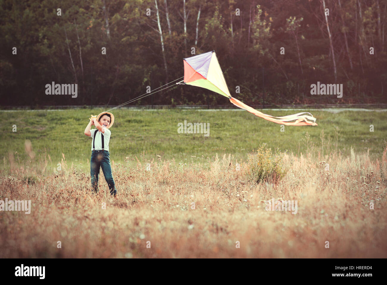 Boy with kite. Child flying kite on nature Stock Photo - Alamy