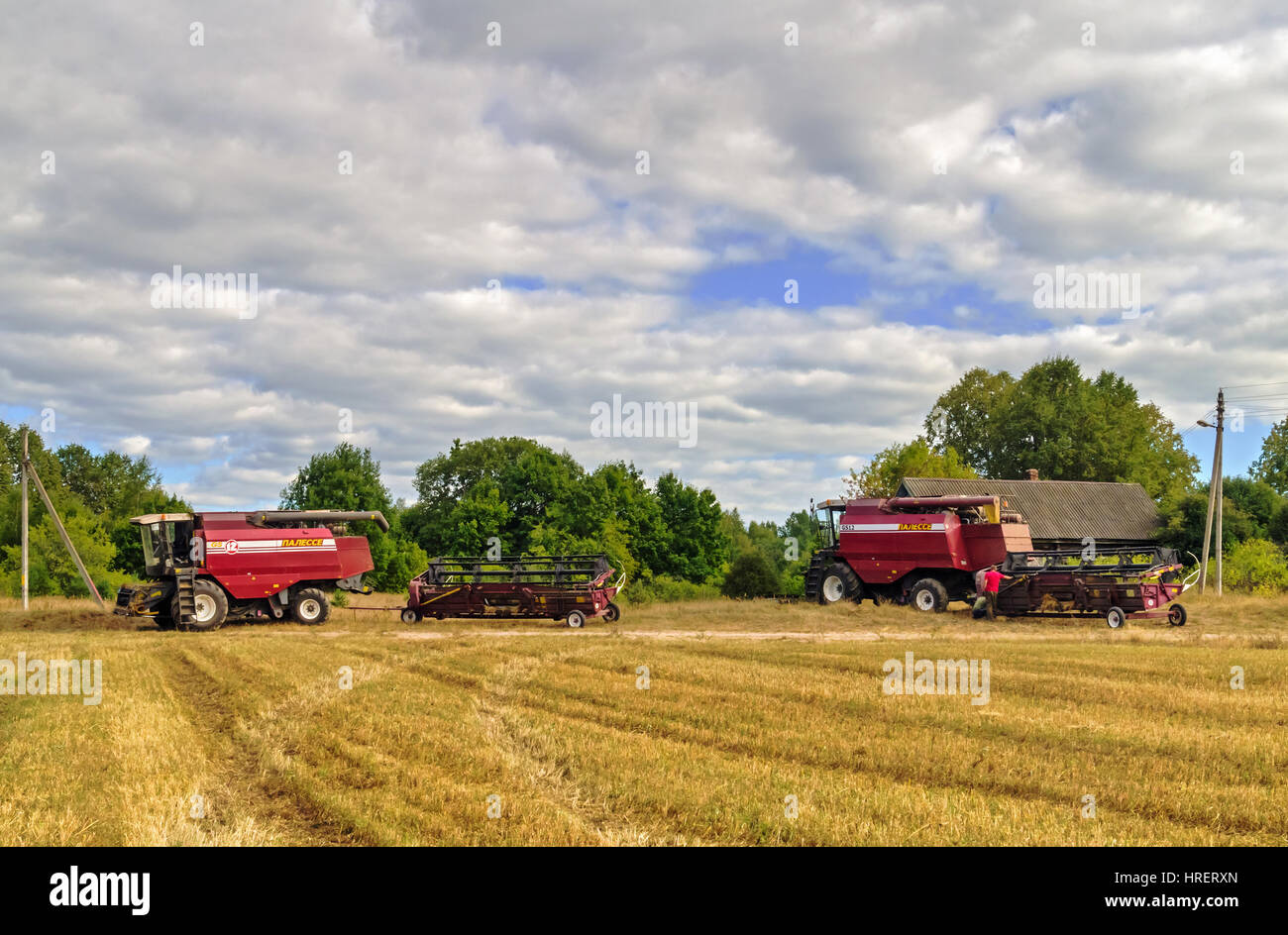 Cleaning grain agricultural fields completed. Harvester is preparing ...