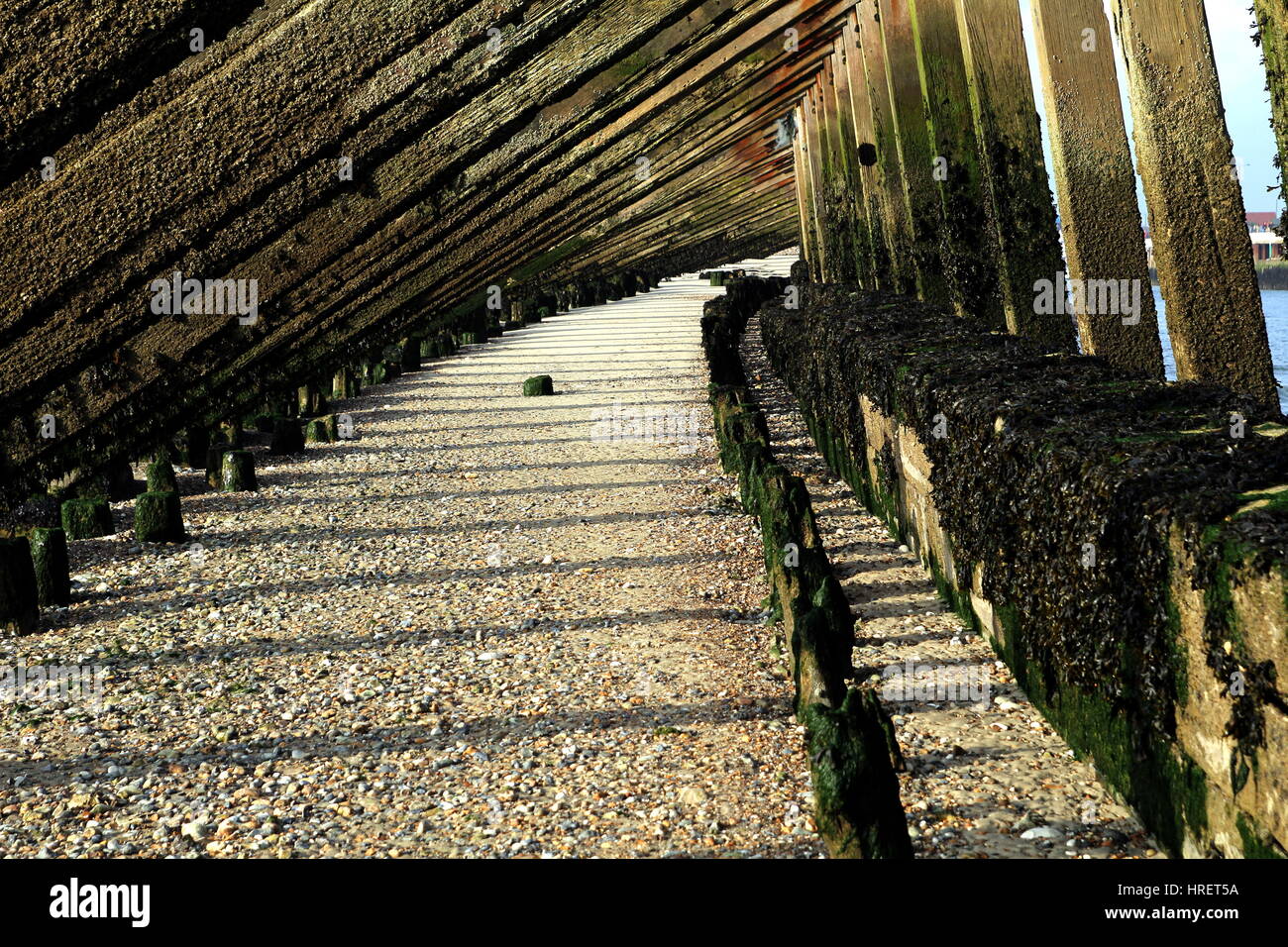 Timber breakwater hi-res stock photography and images - Alamy