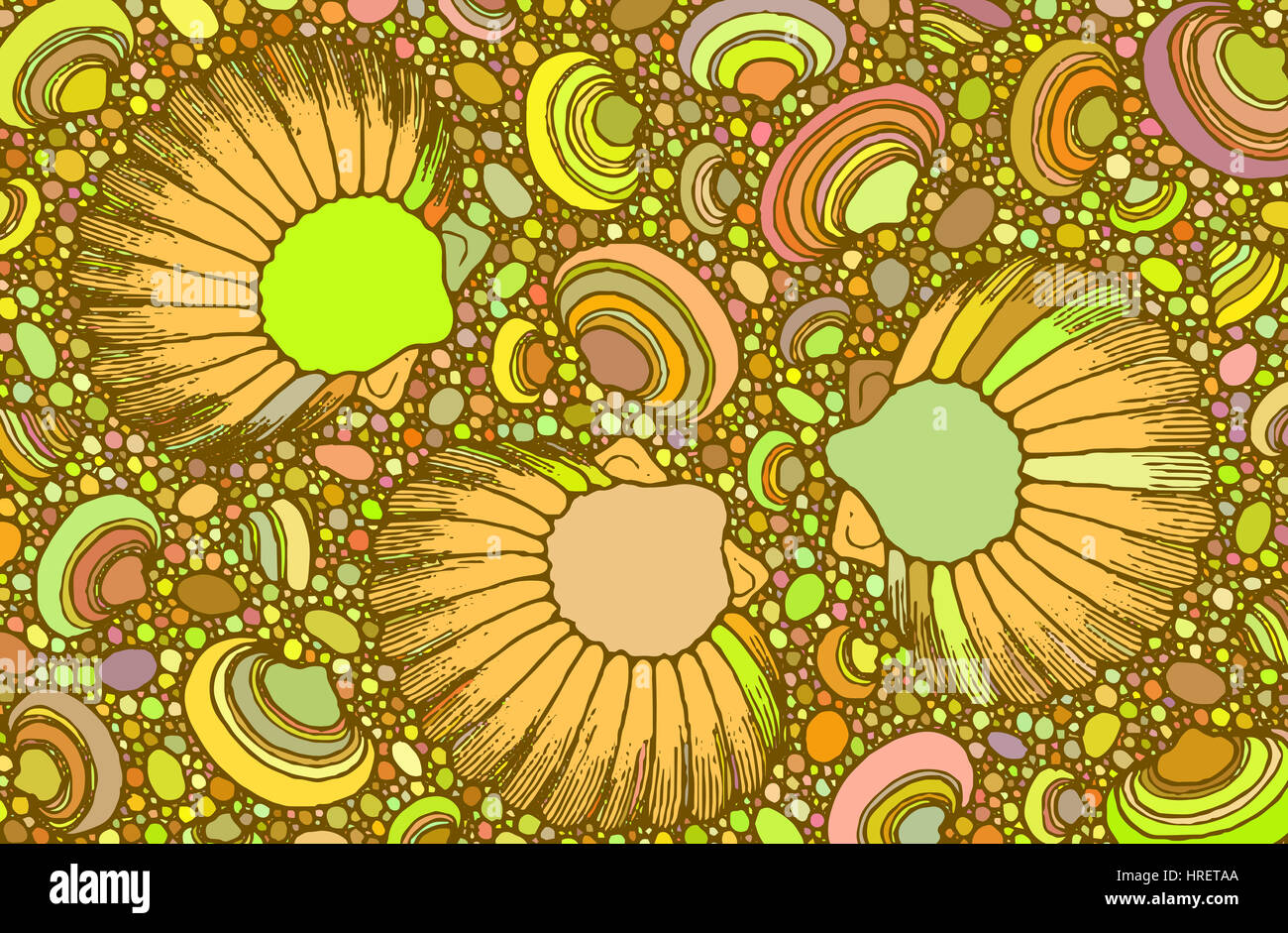 Abstract seashells hi-res stock photography and images - Alamy