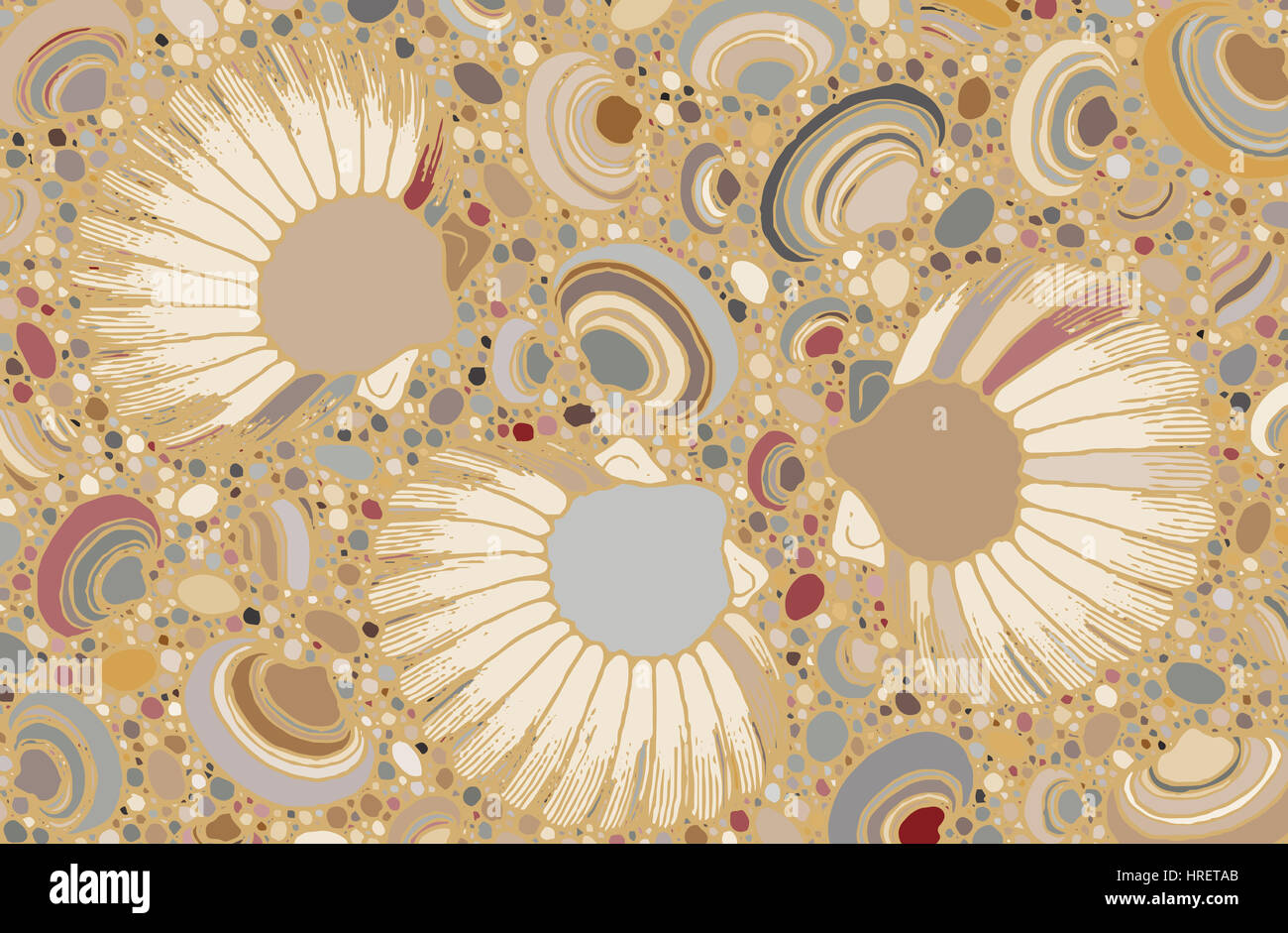 Abstract seashells and pebbles.Vector Stock Photo - Alamy