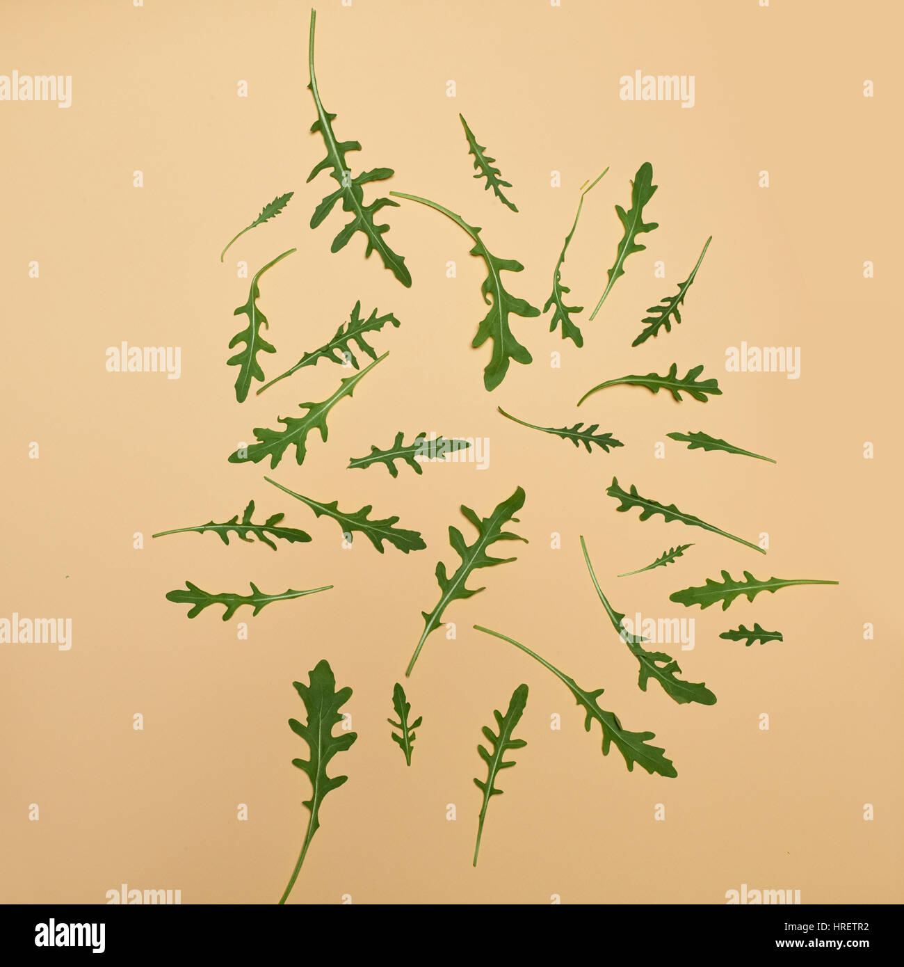 The fresh arugula leaves on beige background Stock Photo - Alamy