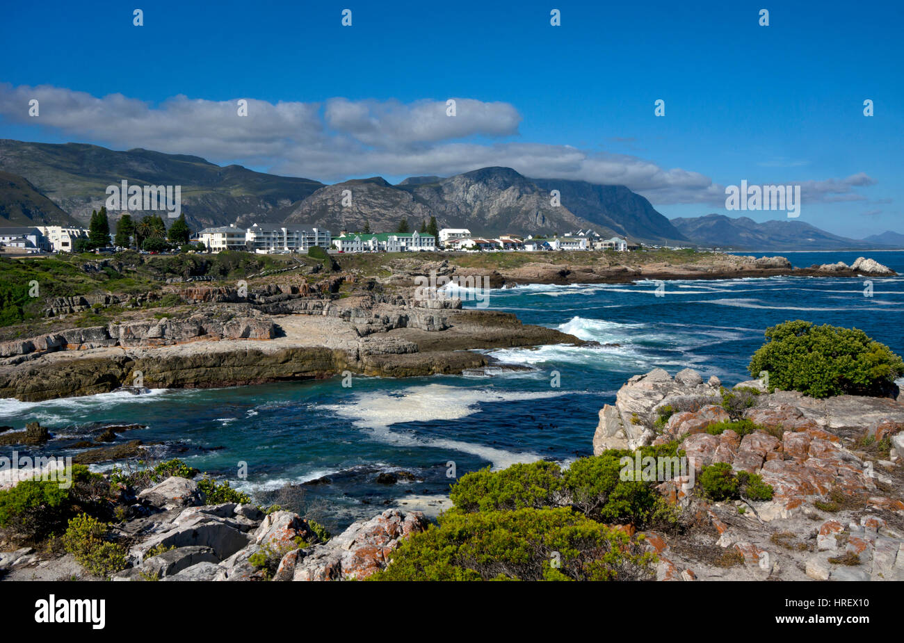 Coastline view of Hermanus,South Africa Stock Photo - Alamy
