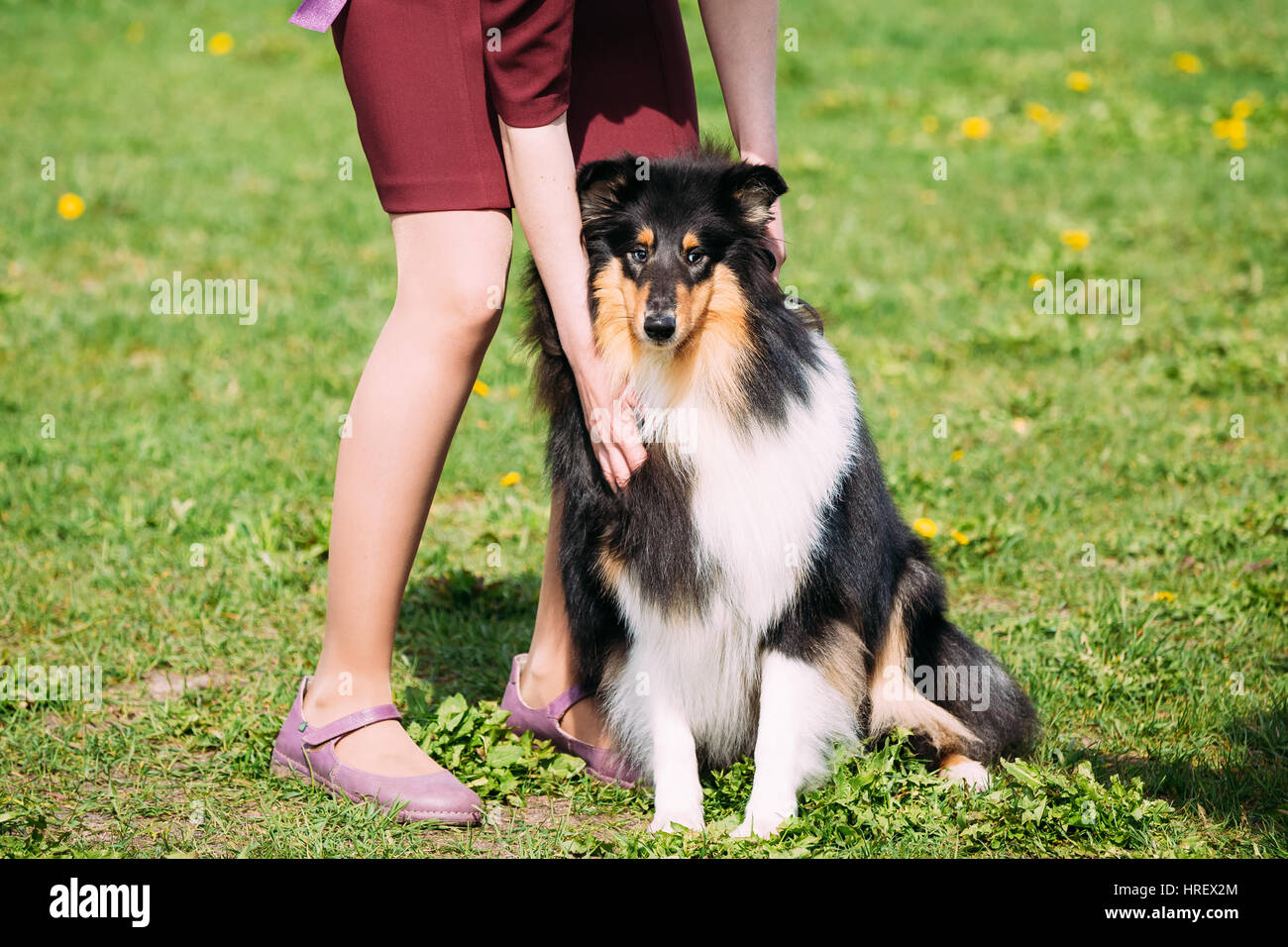 Rough feet hi-res stock photography and images - Alamy