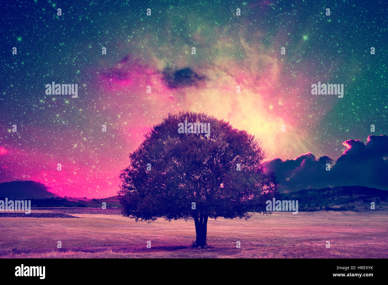 red alien landscape with alone tree over the night sky with many stars ...