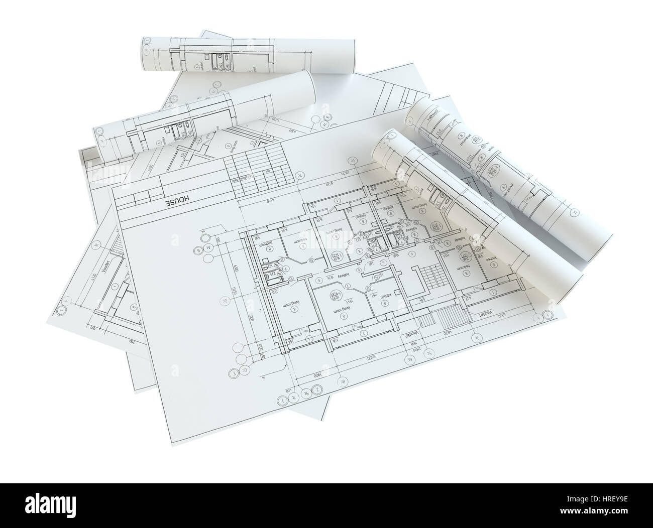 Architectural plan rolled blueprints Cut Out Stock Images & Pictures ...