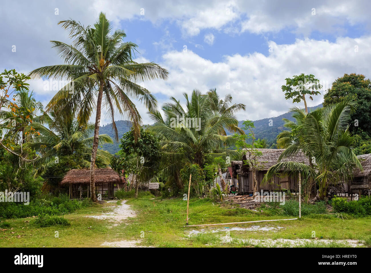 Traditional african malagasy village with huts in Maroantsetra region ...