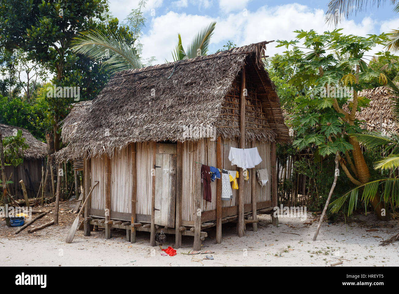 Traditional african malagasy hut in Maroantsetra region, typical ...