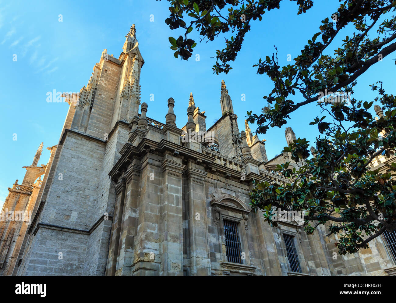 Seville Cathedral (or Cathedral of Saint Mary of the See) top view on ...