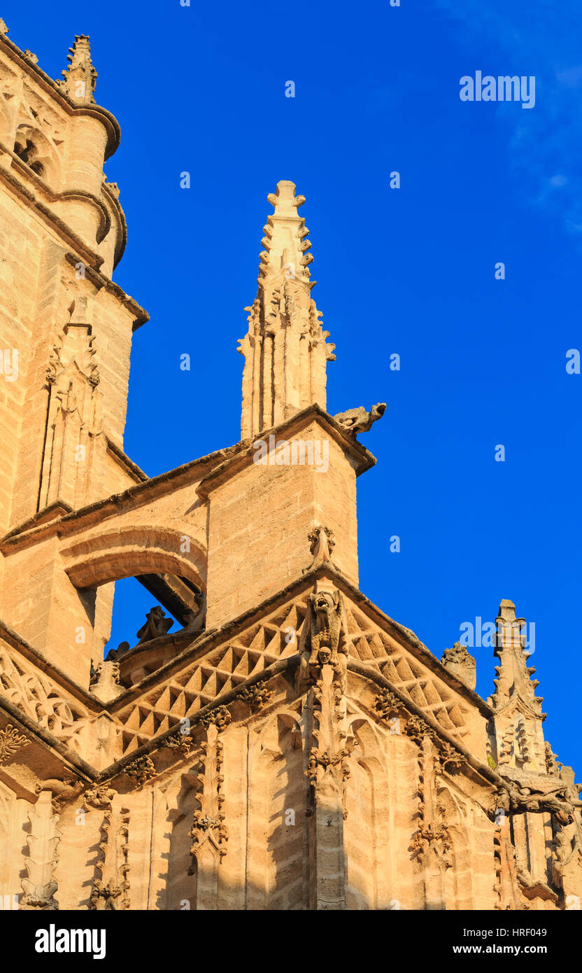 Seville Cathedral (or Cathedral of Saint Mary of the See) roof view on ...